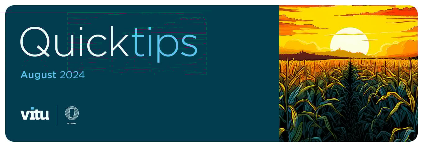 2024 August Vitu Quick Tips Newsletter