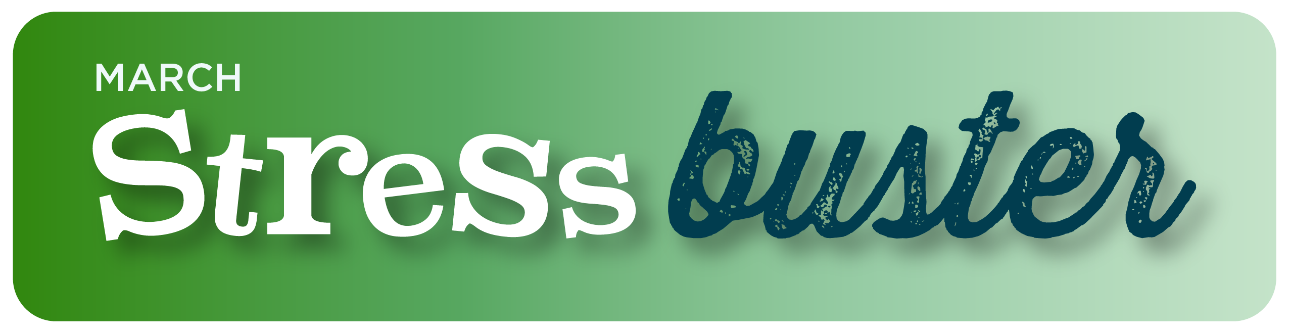 2024 March Vitu Quick Tips Newsletter