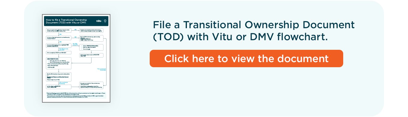 2024 October Vitu Quick Tips Newsletter